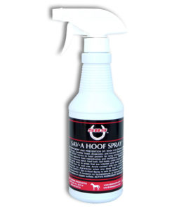 Our Products - SBS Equine Products